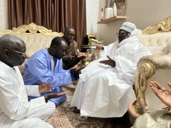 Pierre Goudiaby Atepa et Adama Lam (CNES) en médiation politique, reçus ...